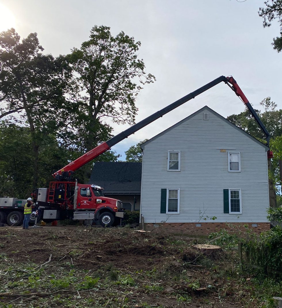 Marshall's Tree Service | Expert Tree Company | Hampton Roads